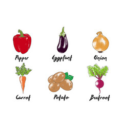 Vegetables collection Royalty Free Vector Image