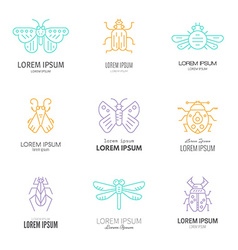 Insect line icons Royalty Free Vector Image - VectorStock