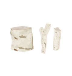 Alphabet poster made birch tree log letters Vector Image