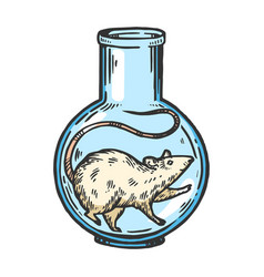 Laboratory Rat Vector Images (over 2,000)