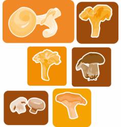 Button Mushroom Vector Images (over 2,000)