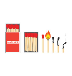 3d realistic colorful match stick icon set Vector Image
