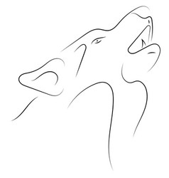 Black line wolf on white background hand drawn Vector Image