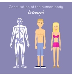 Ectomorph body type woman and man Royalty Free Vector Image