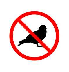 Prohibition sign do not feed pigeons sign Vector Image