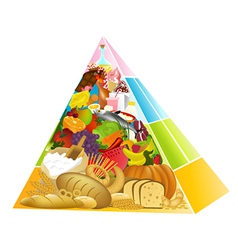 Food pyramid Royalty Free Vector Image - VectorStock