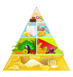 Food pyramid Royalty Free Vector Image - VectorStock