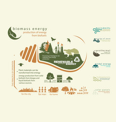 Infographics renewable source of biomass energy Vector Image