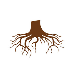 Root graphic design template isolated Royalty Free Vector