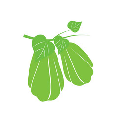 Chayote logo template Royalty Free Vector Image