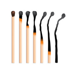 Realistic opened blank box of brown matches Vector Image