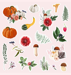 Autumn essentials set of cute hand drawn fall Vector Image