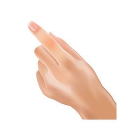 Hands realistic gestures human palms and fingers Vector Image