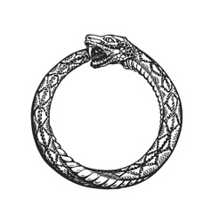 Snake curled in infinity ring ouroboros devouring Vector Image