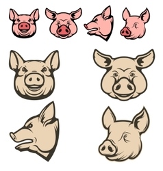 Sly pig Royalty Free Vector Image - VectorStock