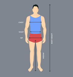 Man anatomy silhouette size human body full Vector Image