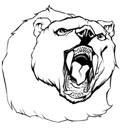 Angry bear stencil Royalty Free Vector Image - VectorStock