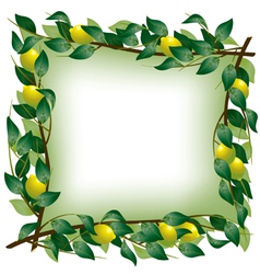 Lemon Border Vector Images (over 1,500)