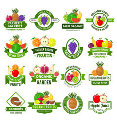 Fruit badges natural fresh product logo healthy Vector Image