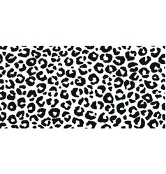 Seamless leopard fur pattern leopard background Vector Image