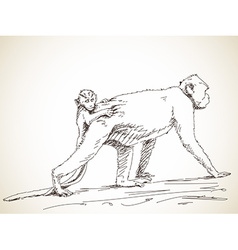 Monkey riding on rocket ride on white background Vector Image