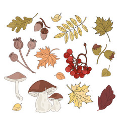 Fox mushroom animal season nature Royalty Free Vector Image