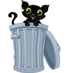 Stray Vector Images (over 1,000)