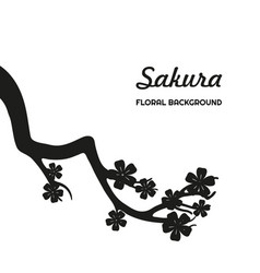 Japanese cherry sakura tree isolated background Vector Image
