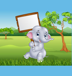 Cute baby elephant holding blank sign on tree stum