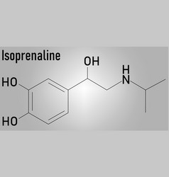 Isoprenaline molecule skeletal formula Royalty Free Vector