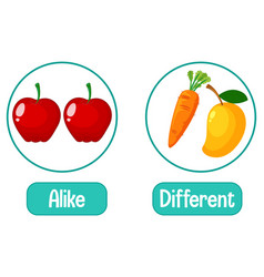 Opposite color with font black and white Vector Image