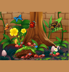 Background scene with insects in park Royalty Free Vector