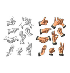 Middle finger sign by male hand Royalty Free Vector Image