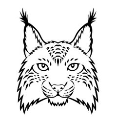 Lynx Vector Images (over 1,500)
