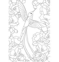 Adult coloring bookpage a cute hummingbird Vector Image