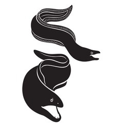 Moray eels Royalty Free Vector Image - VectorStock