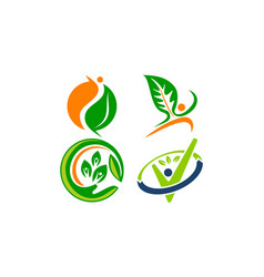 Leaf health logo design template Royalty Free Vector Image