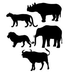 Africa big five Royalty Free Vector Image - VectorStock