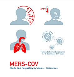 Mers-cov symptoms transmission prevention stick Vector Image