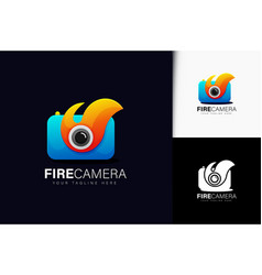 Camera with fire logo design icon Royalty Free Vector Image