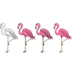 Flamingo Template Vector Images (over 3,600)