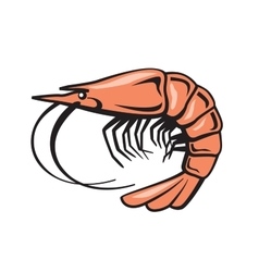 Prawn Vector Images (over 9,600)