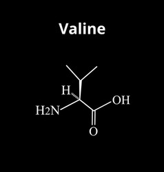 Valine amino acid chemical molecular formula Vector Image