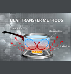 Heat transfer infographic diagram Royalty Free Vector Image