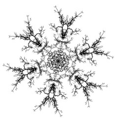 Leafless branch mandala Royalty Free Vector Image