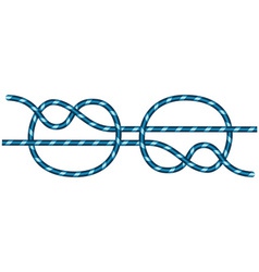 Knot Royalty Free Vector Image - VectorStock