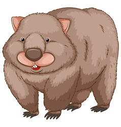 Wombat Vector Images (over 740)
