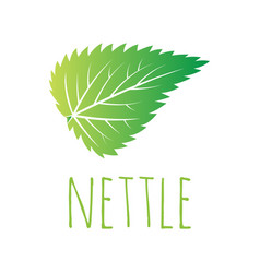 Nettle Vector Images (over 650)