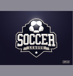 Modern professional soccer logo for sport team Vector Image