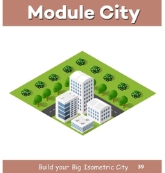 Flat isometric map Royalty Free Vector Image - VectorStock